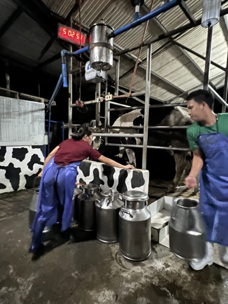 Alaska Milk mobilizes Dairy Development Program, helps dairy farmers ...