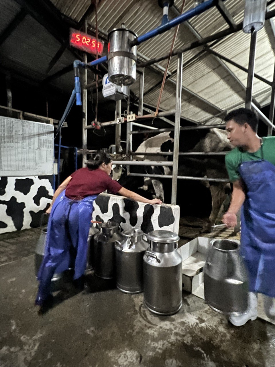 Alaska Milk mobilizes Dairy Development Program, helps dairy farmers ...